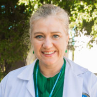 Vetcetera – Everything a veterinarian needs and more…