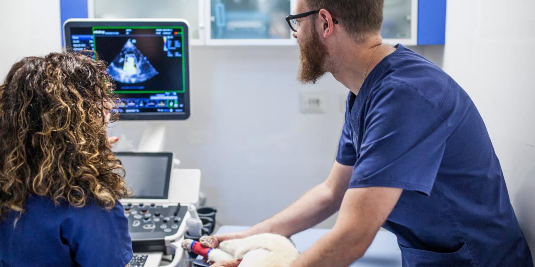 [Webinar] AFAST© Introduction and Its Target-organ Approach – Everyday ...