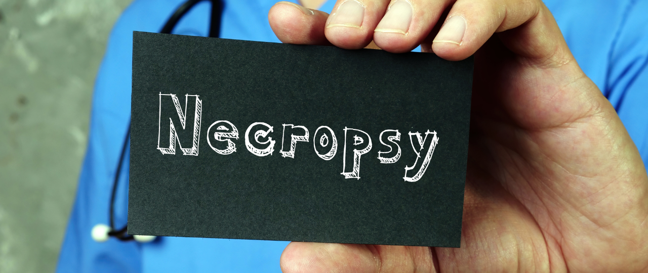 [Webinar] Large Animal Necropsies: Techniques & Sample Collection for ...