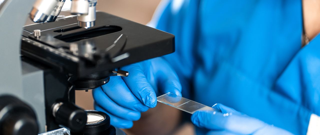 [Webinar] Cytology Part 2: Microscopic Identification of Structures and ...