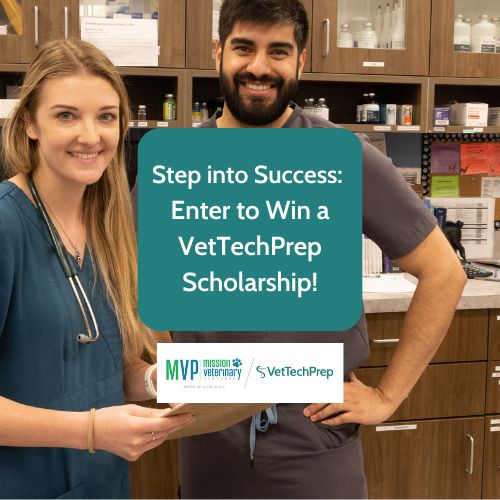 Veterinary Professionals – Vetcetera