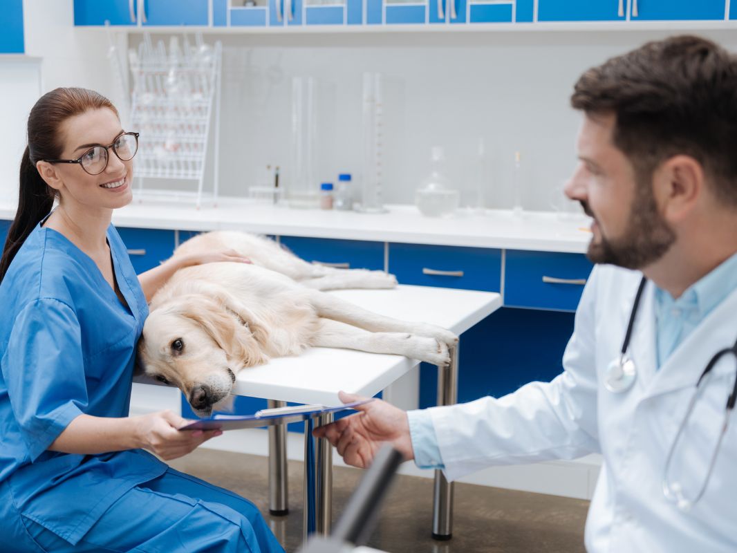 ReVETilization: How to Be a Leader to Enact Positive Change – Vetcetera