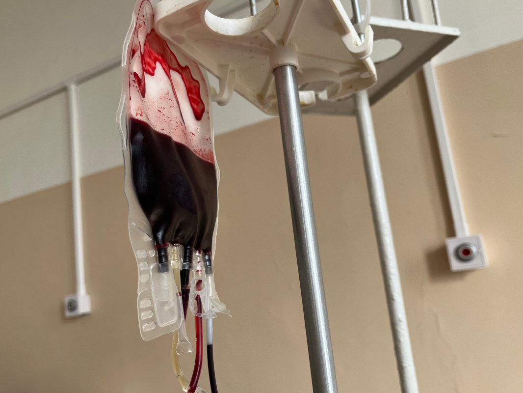 [Webinar] Transfusion Medicine – Vetcetera